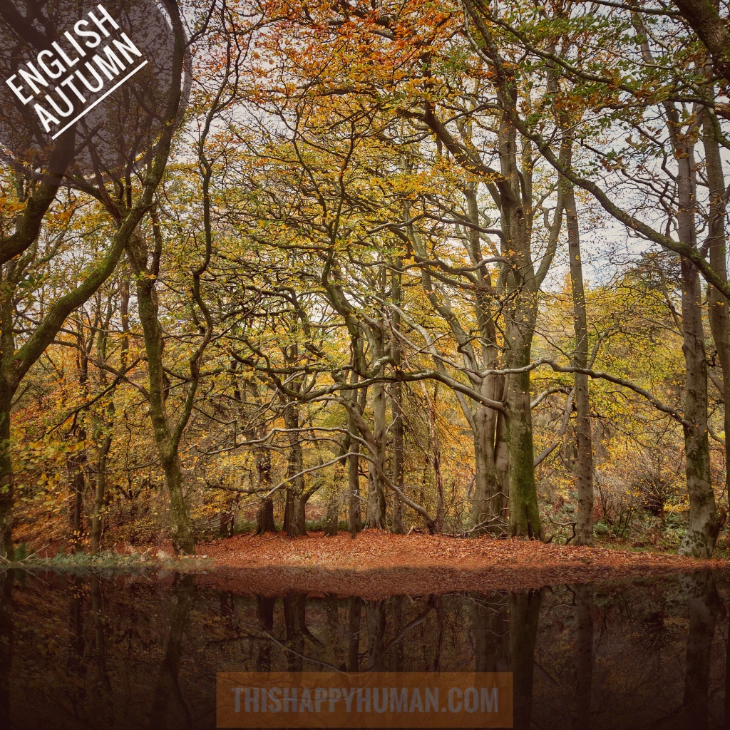 English Autumn – This Happy Human